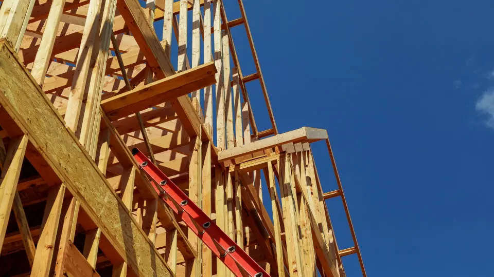 Transforming Homes: Adaptive Reuse in Multiplex Development